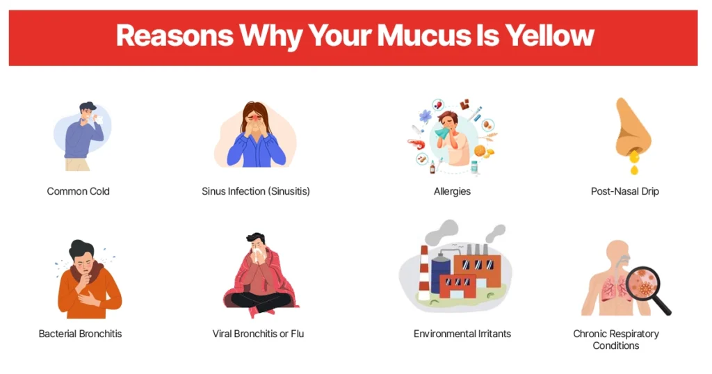 Why Is My Mucus Yellow? Causes & Preventions